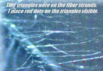 Morgellons Photos ~ Oddities and Ends